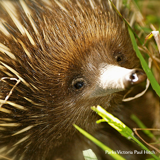 About – Museum of Zoology Blog