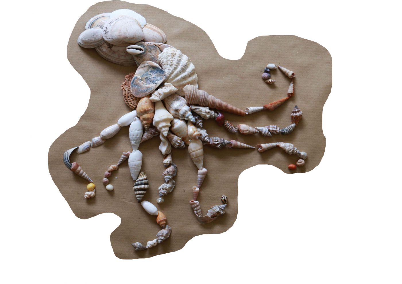 Dive into a Coral Reef – Museum of Zoology Blog