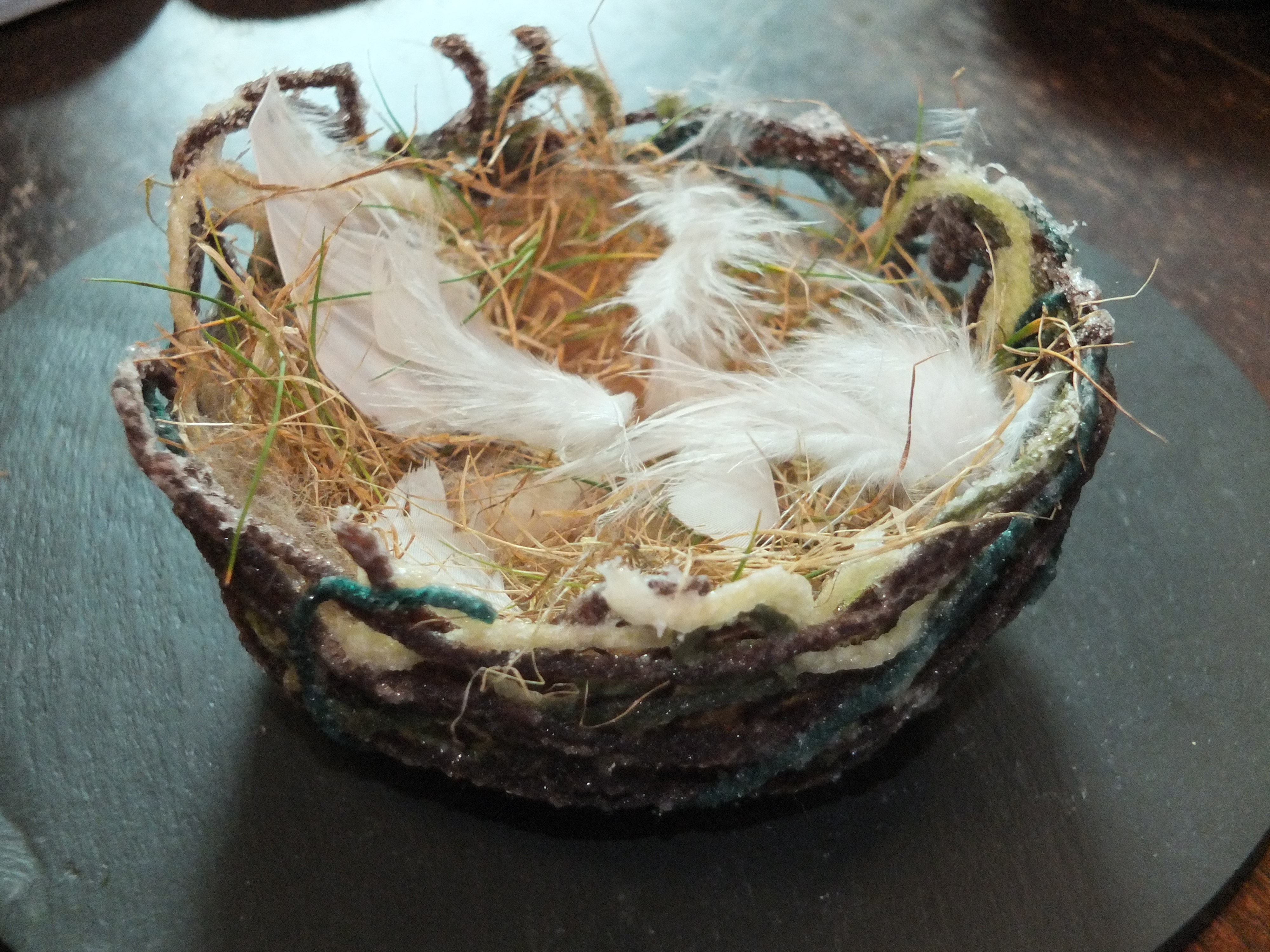Community Gallery – Museum of Zoology Blog
