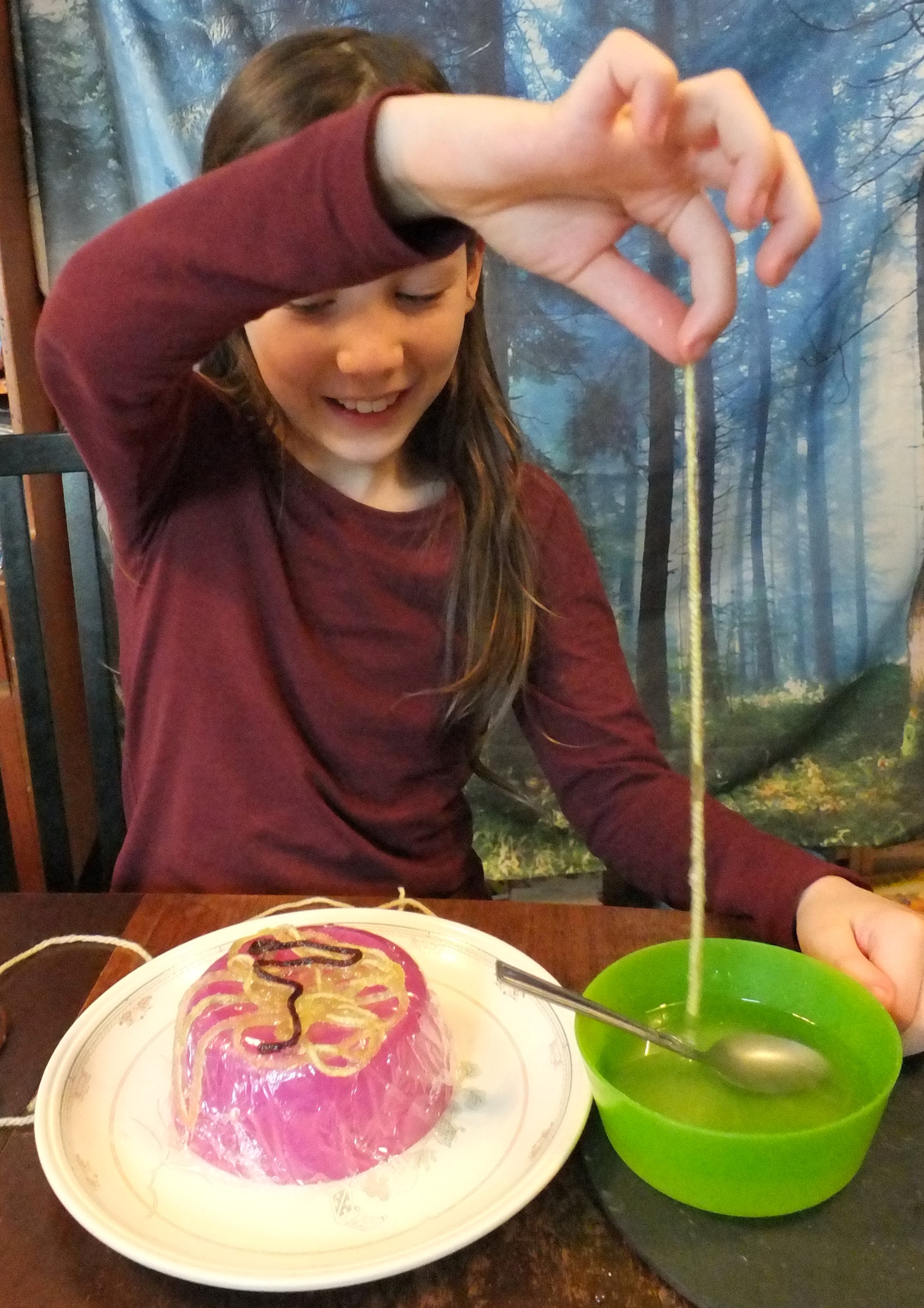 Community Gallery – Museum of Zoology Blog