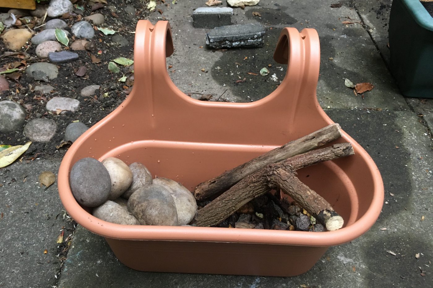Build your own Mini-Pond – Museum of Zoology Blog