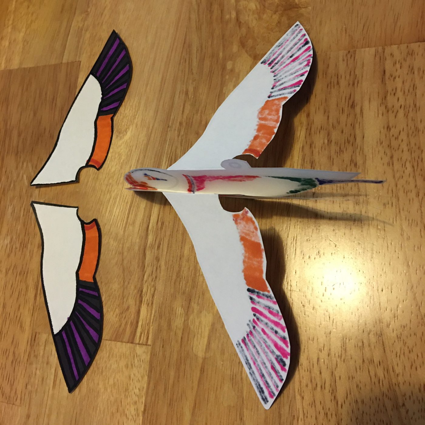 Flying Puffin craft – Museum of Zoology Blog