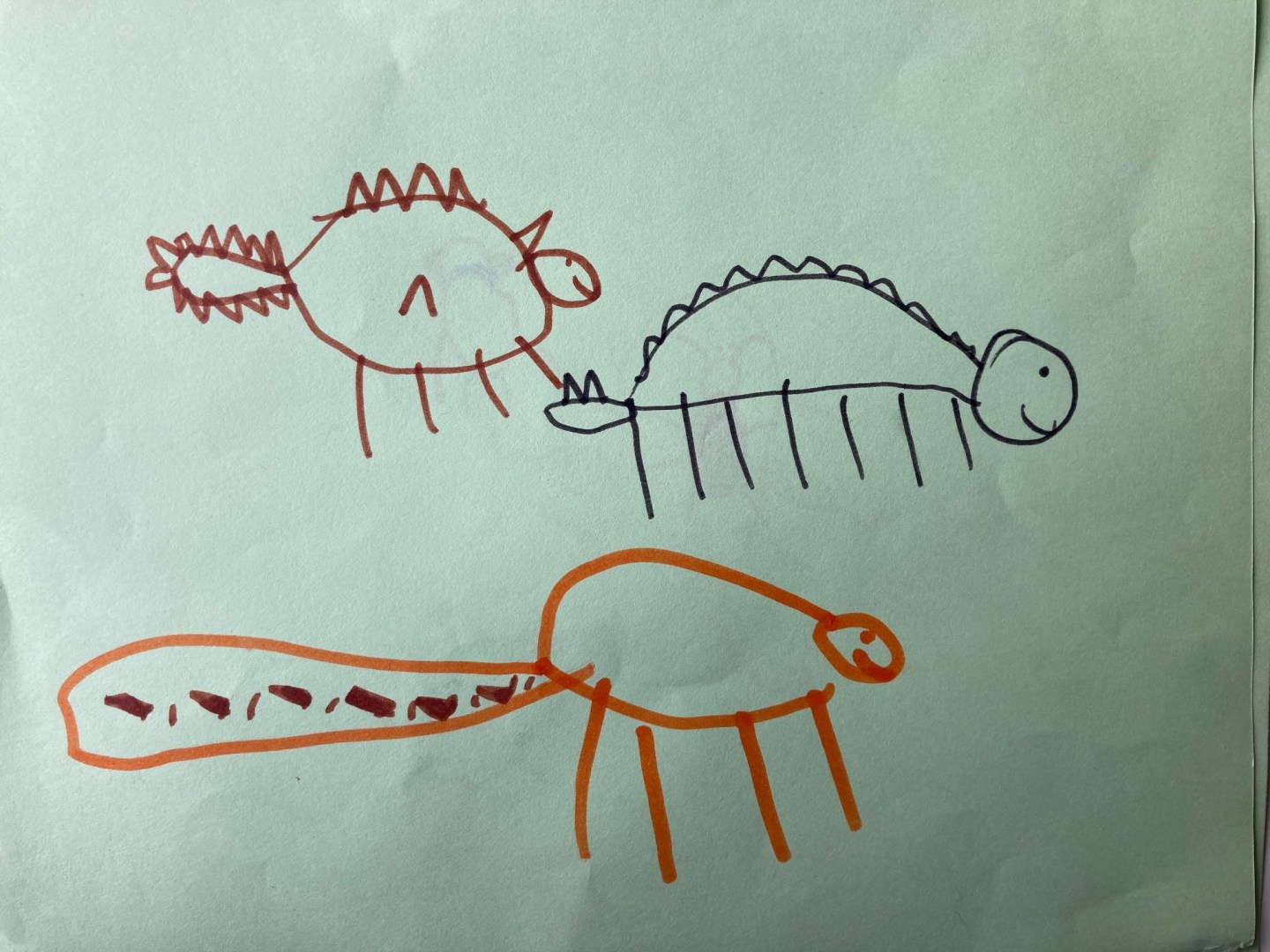 Community Gallery – Museum of Zoology Blog