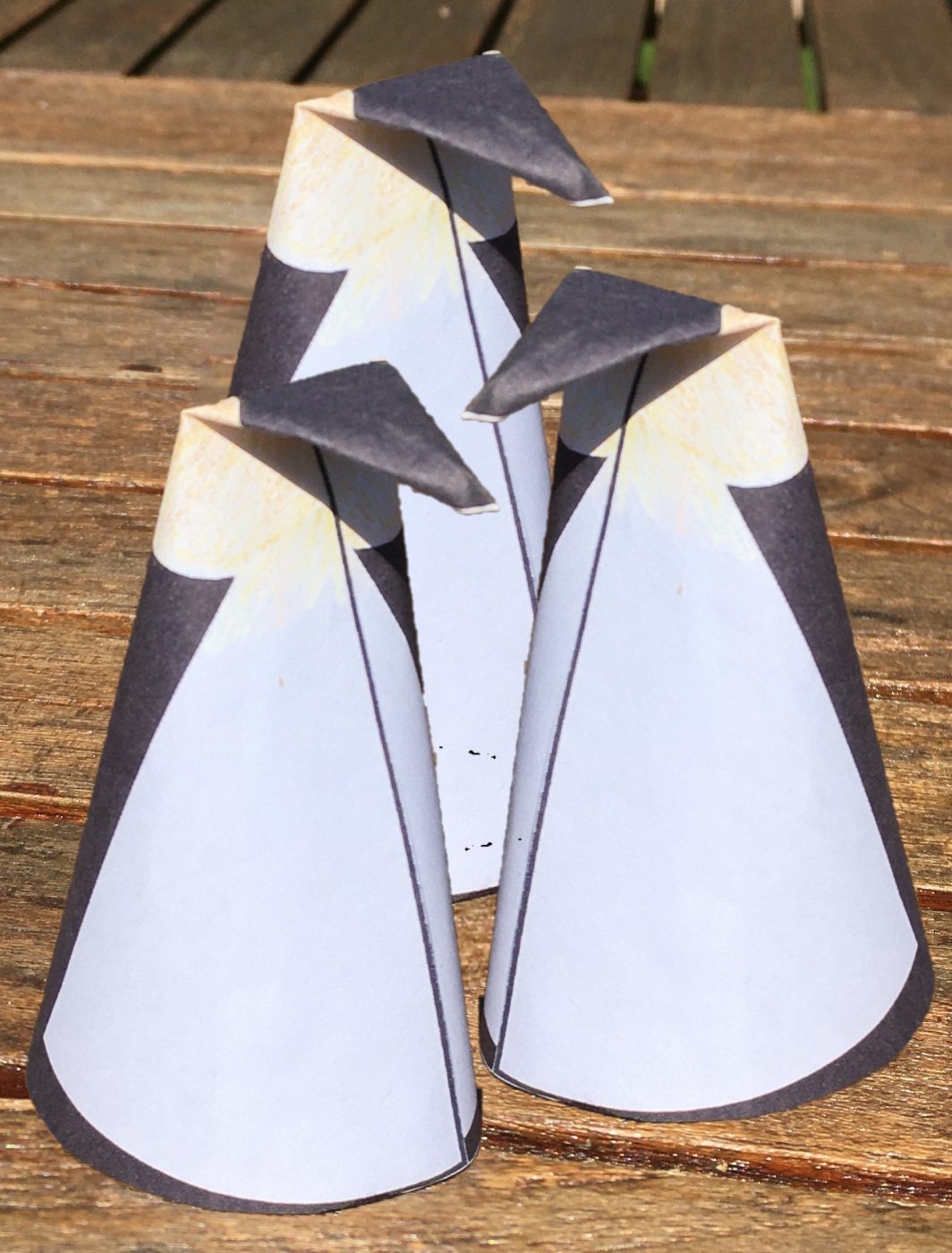 Life in the Cold – Museum of Zoology Blog