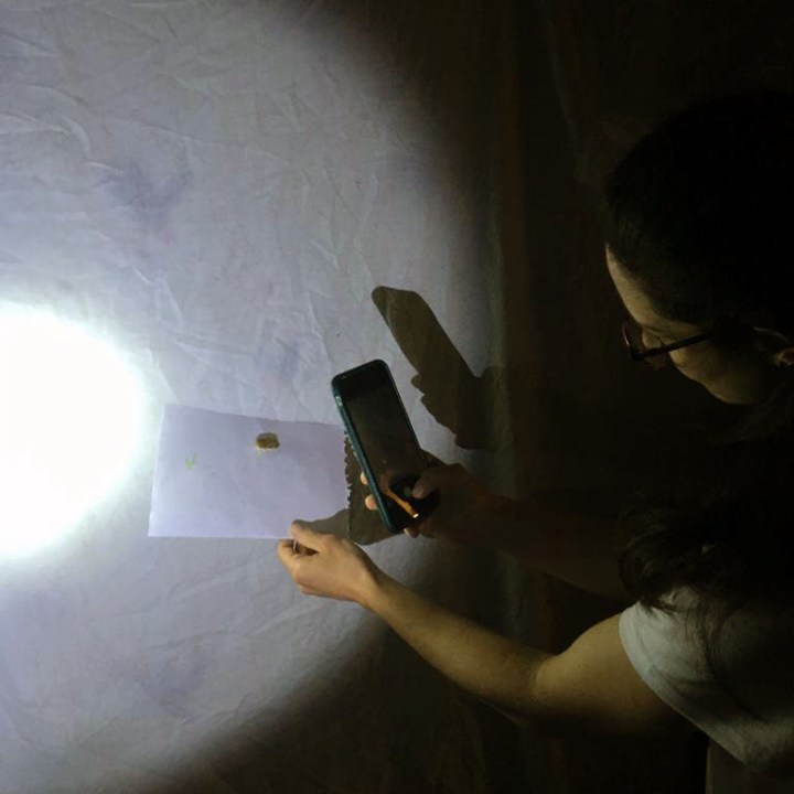 Build your own Moth Trap – Museum of Zoology Blog
