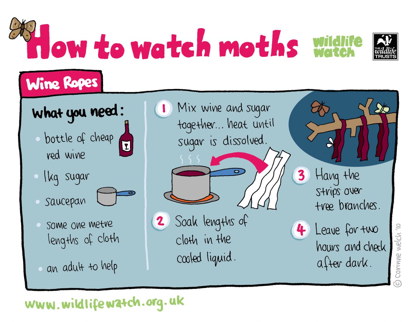 Build your own Moth Trap – Museum of Zoology Blog