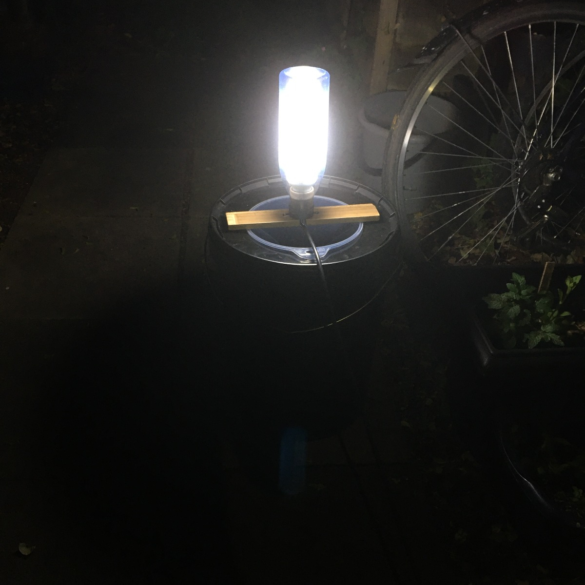 Build your own Moth Trap – Museum of Zoology Blog