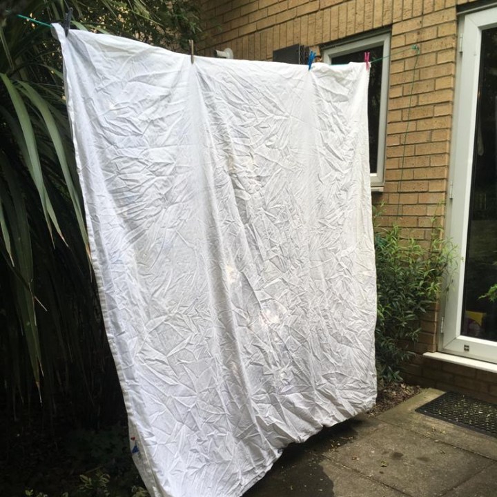 Build your own Moth Trap – Museum of Zoology Blog