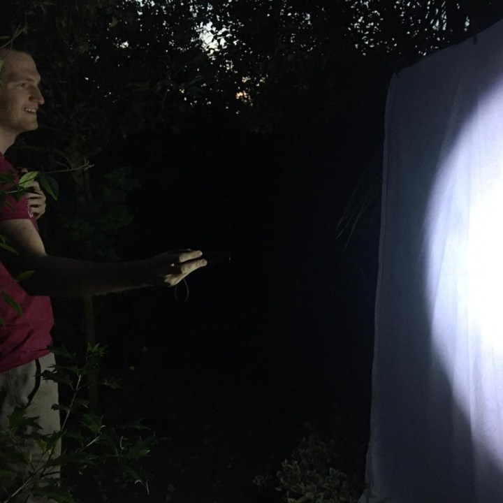 Build your own Moth Trap – Museum of Zoology Blog