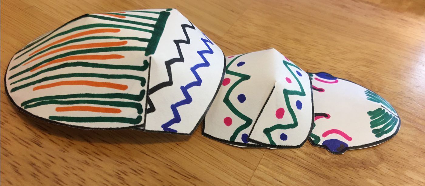 Build a Beetle – Museum of Zoology Blog