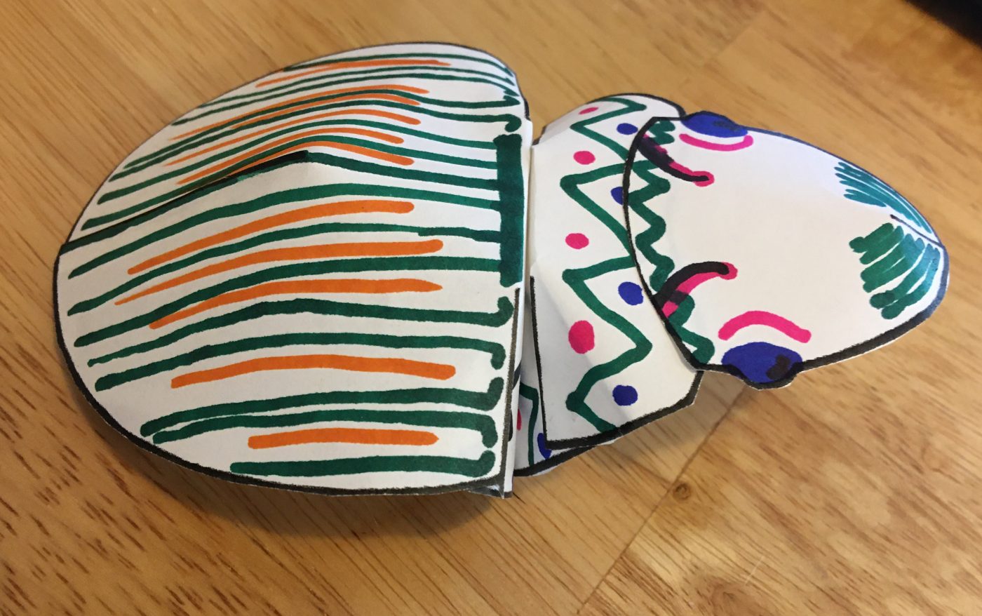 Build a Beetle – Museum of Zoology Blog