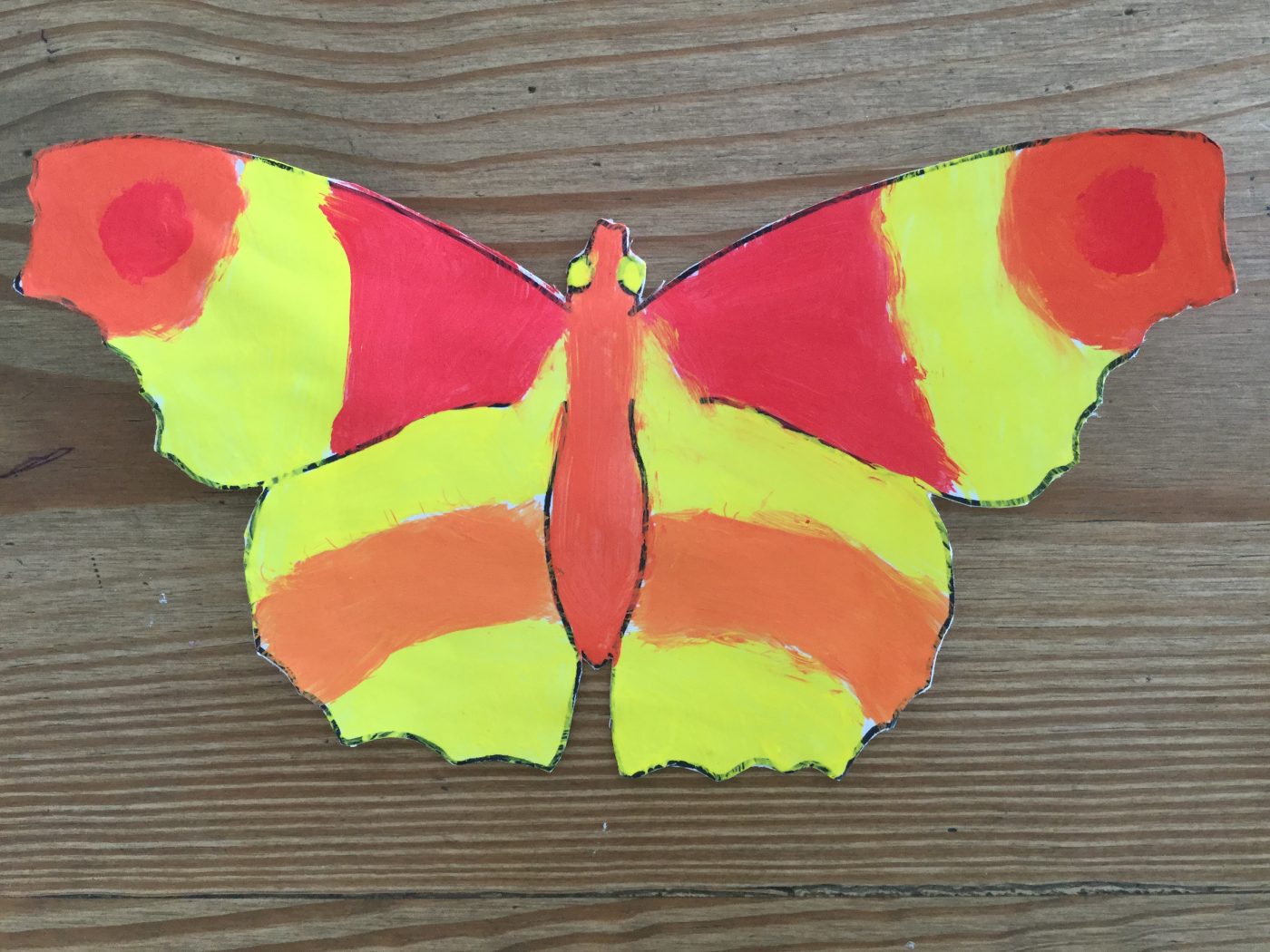 Summer Butterfly Challenge – Museum of Zoology Blog