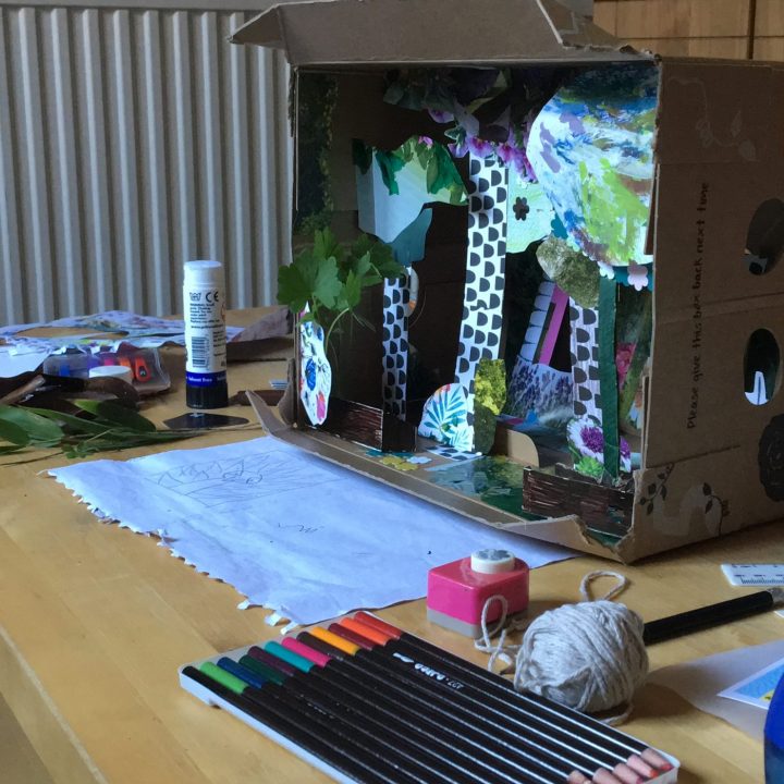 Habitat in-a-box – Museum of Zoology Blog