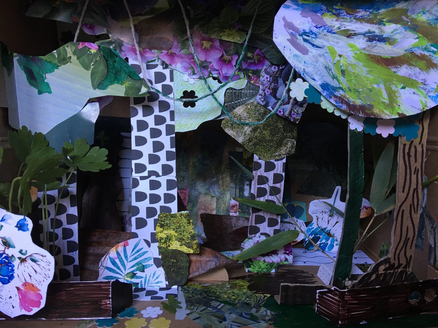 Habitat in-a-box – Museum of Zoology Blog