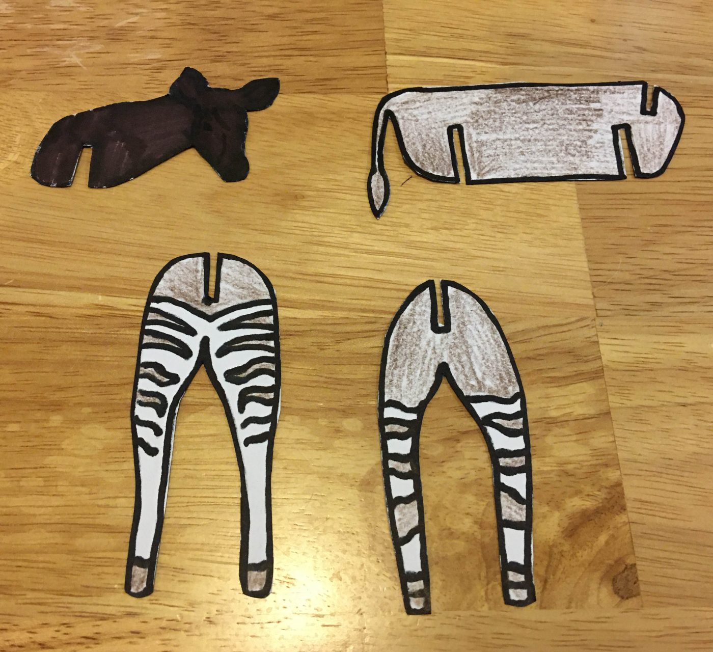 Okapi? Okapi! – Museum of Zoology Blog