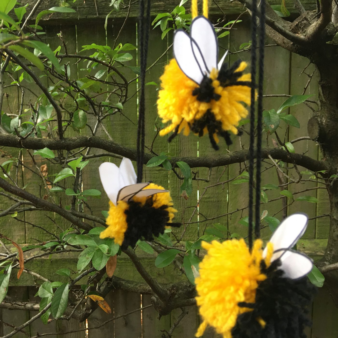 Pollinators – Museum of Zoology Blog