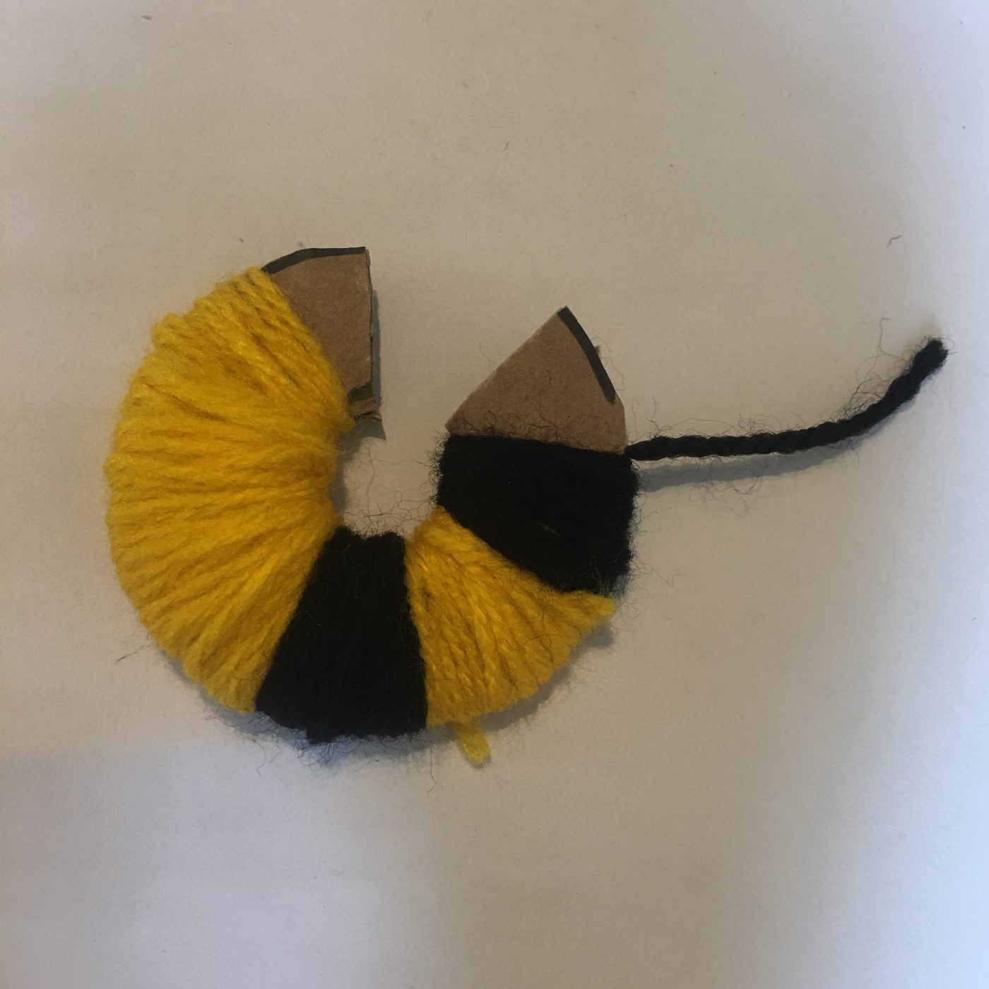 Create a Bumblebee – Museum of Zoology Blog