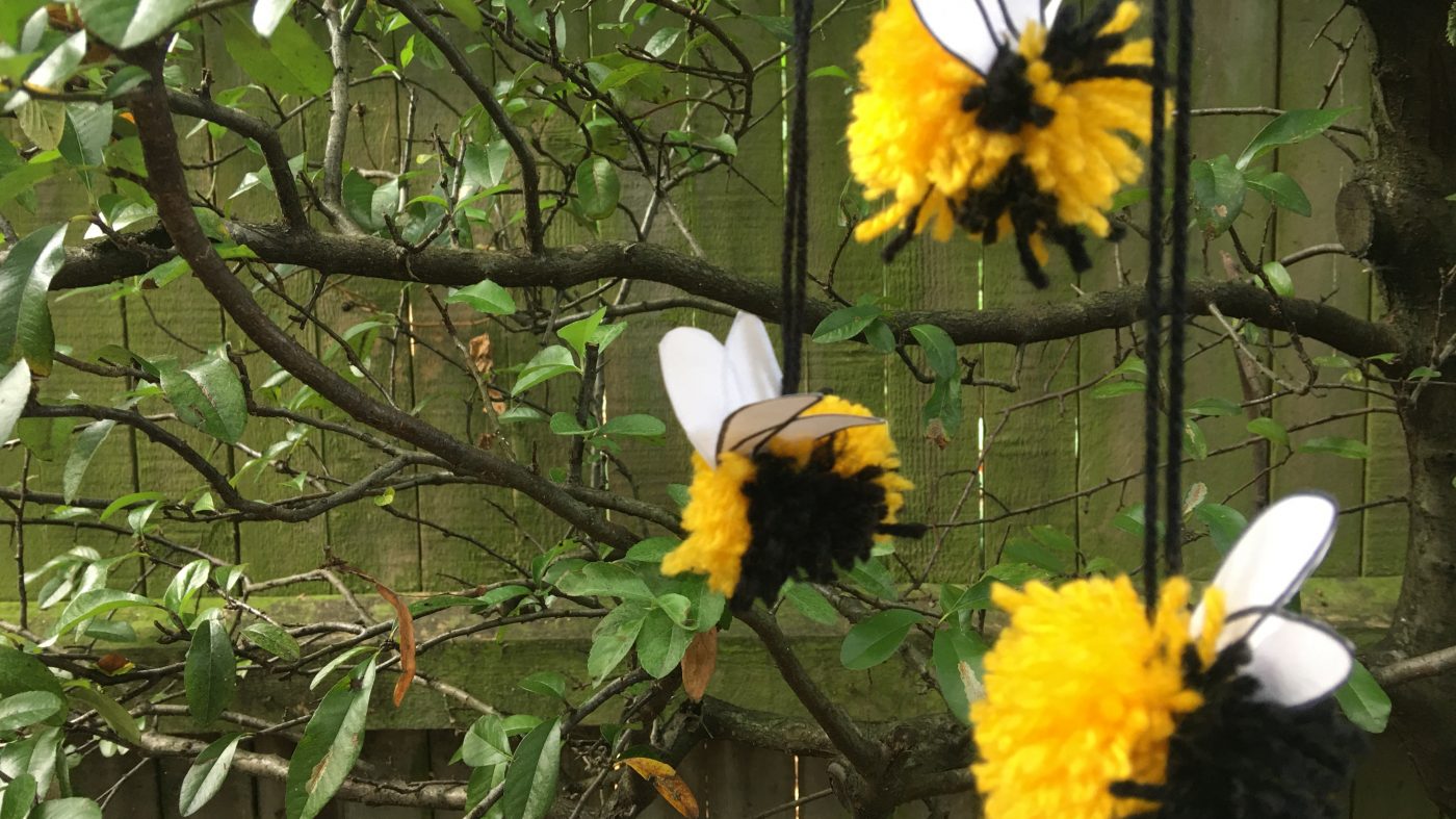 Create a Bumblebee – Museum of Zoology Blog