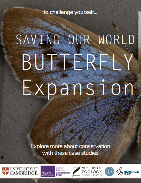 Saving Our World: Butterfly – Museum of Zoology Blog