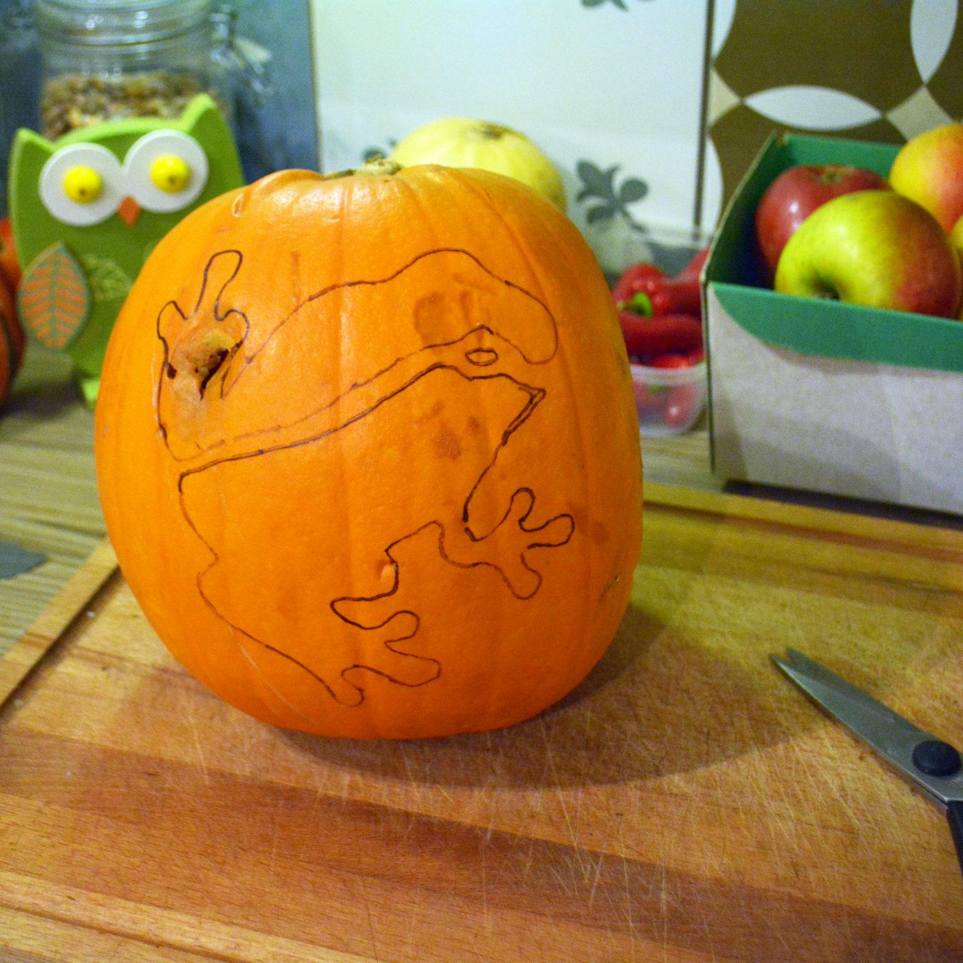 Proud Pumpkins: making sustainable choices – Museum of Zoology Blog