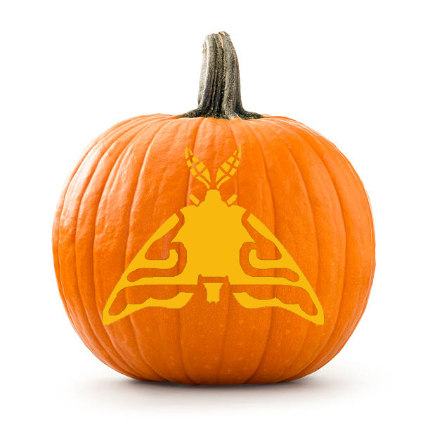 Proud Pumpkins: making sustainable choices – Museum of Zoology Blog