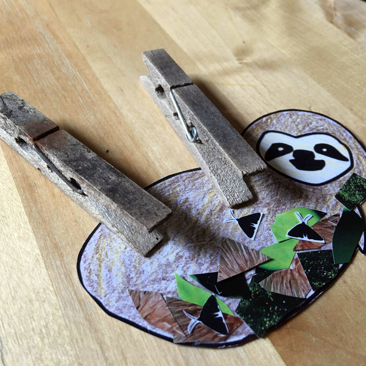 A Slumber of Sloths – Museum of Zoology Blog