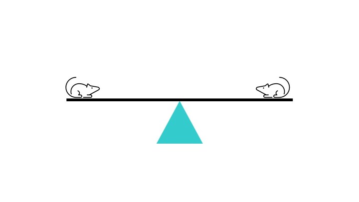 Skeletons: Arms and Legs – Museum of Zoology Blog