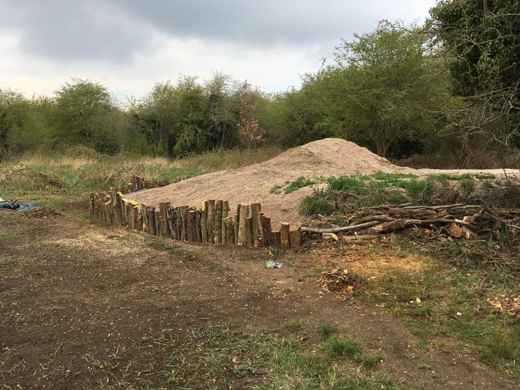 Brownfield Biodiversity – Museum of Zoology Blog
