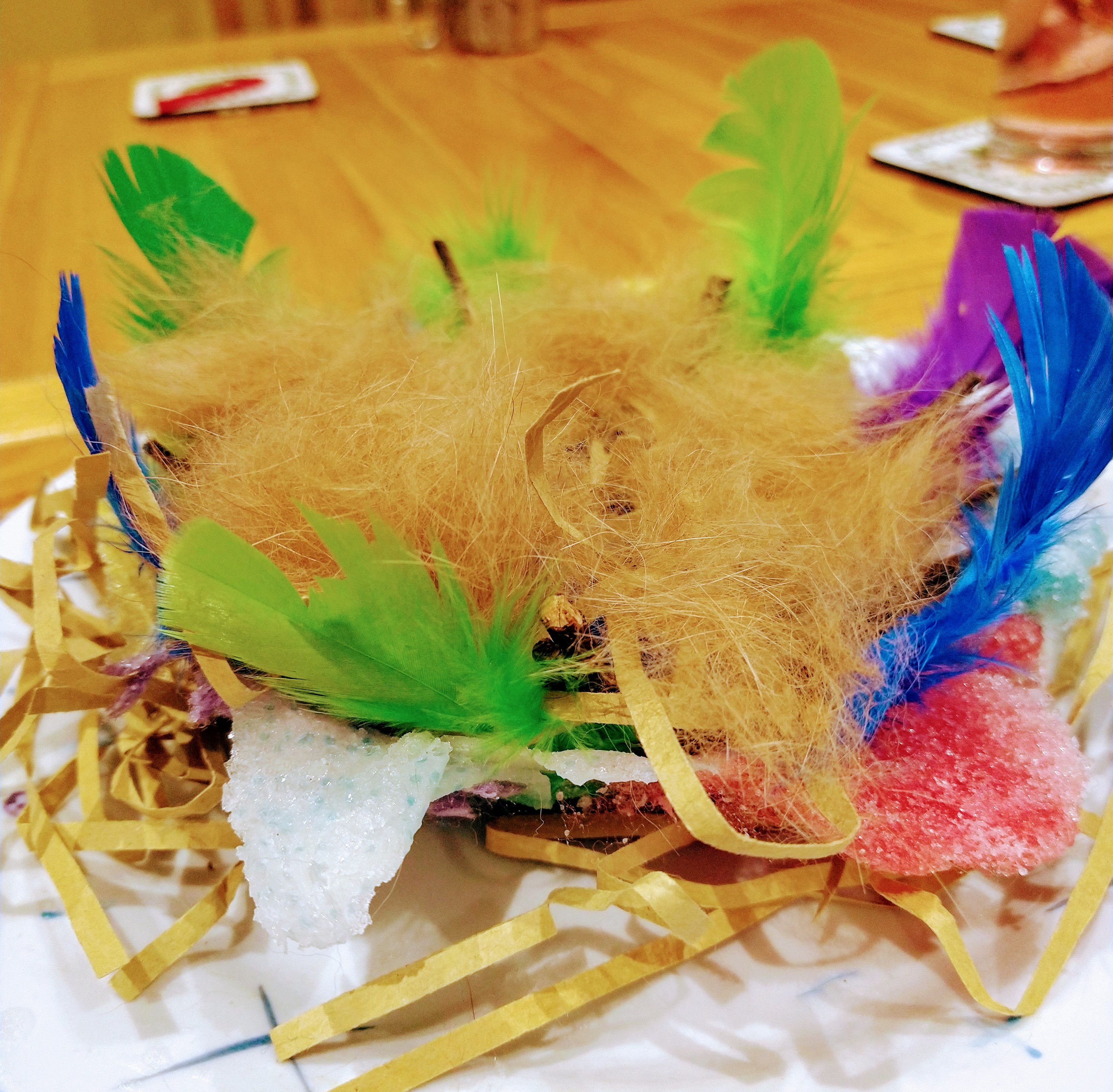 Community Gallery – Museum of Zoology Blog