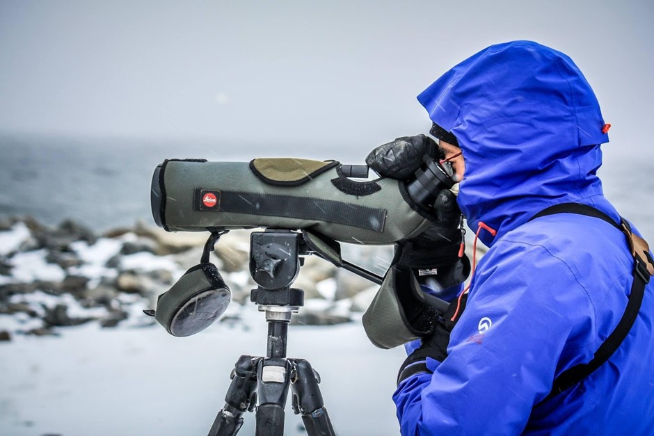 How to Study: Seabirds – Museum of Zoology Blog