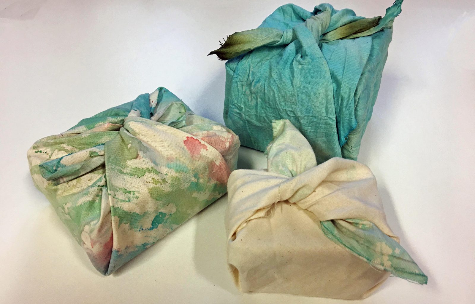 Crafty Creatures – Museum of Zoology Blog