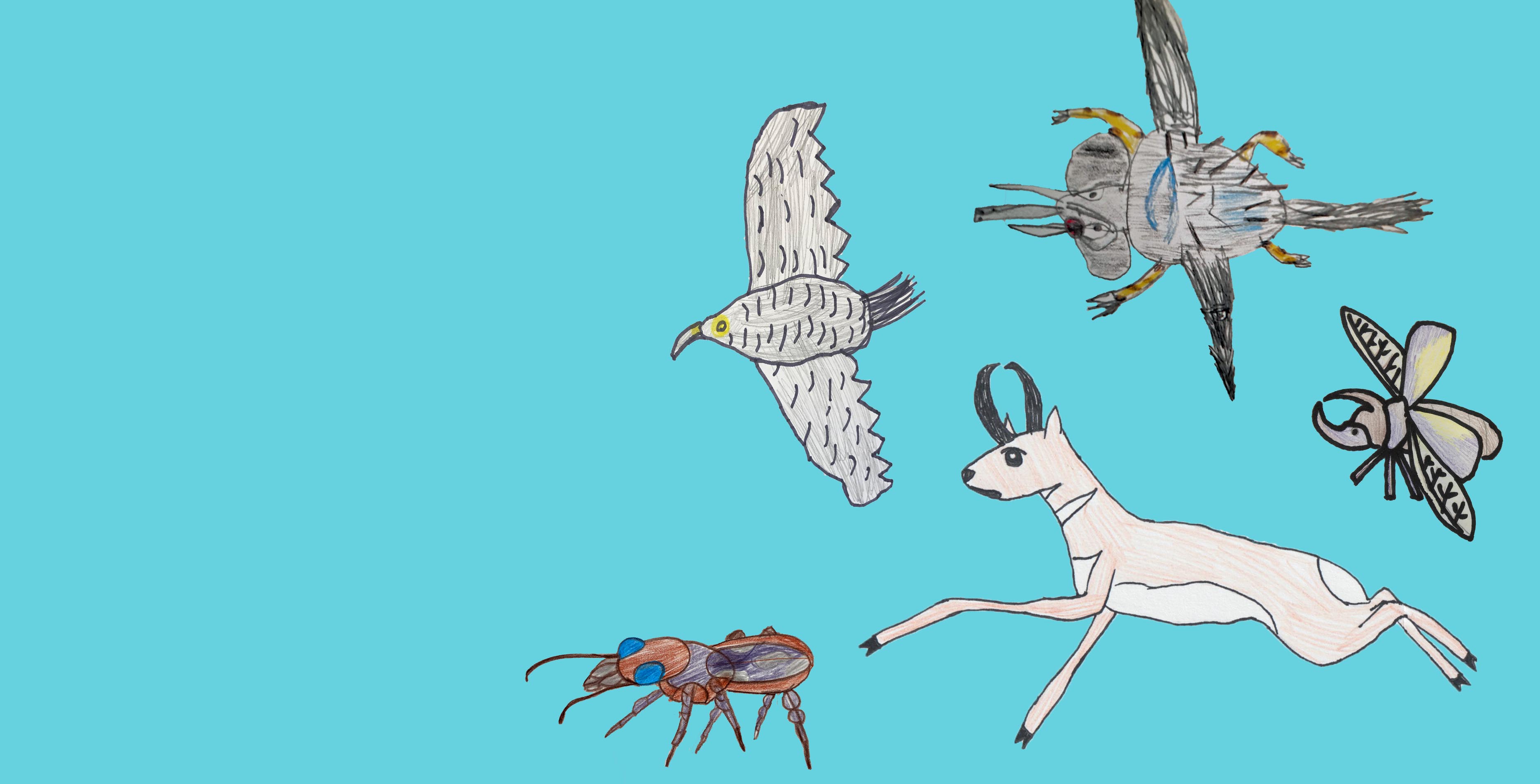 Nature Classroom – Museum of Zoology Blog