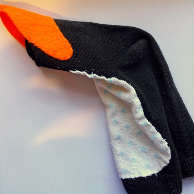 Penguin Puppets – Museum of Zoology Blog