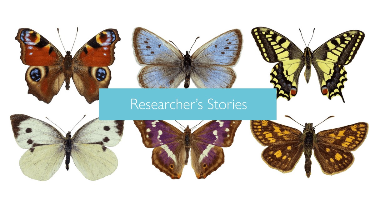 Butterflies Through Time: Researcher’s stories – Museum of Zoology Blog