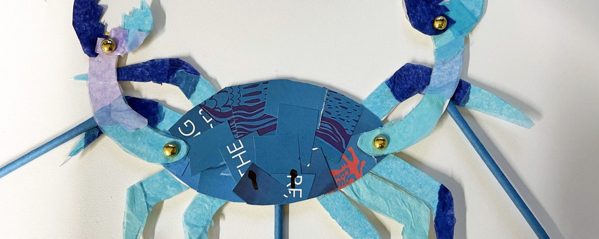 Create an ocean creature puppet – Museum of Zoology Blog