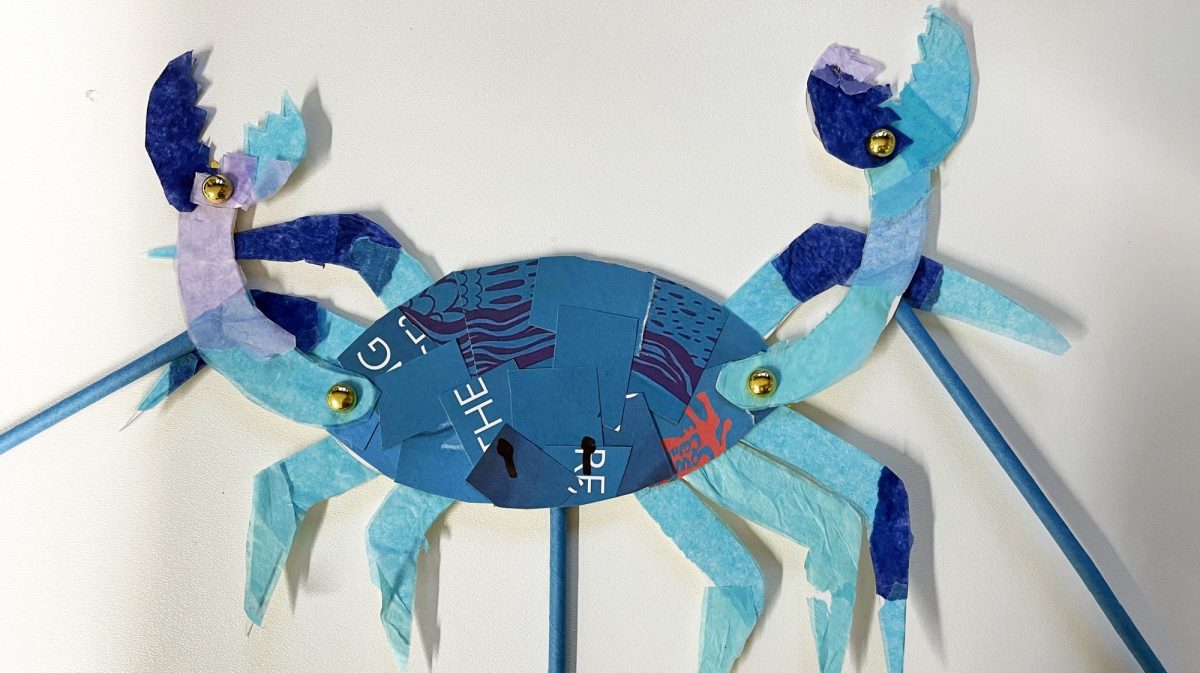 Create an ocean creature puppet – Museum of Zoology Blog