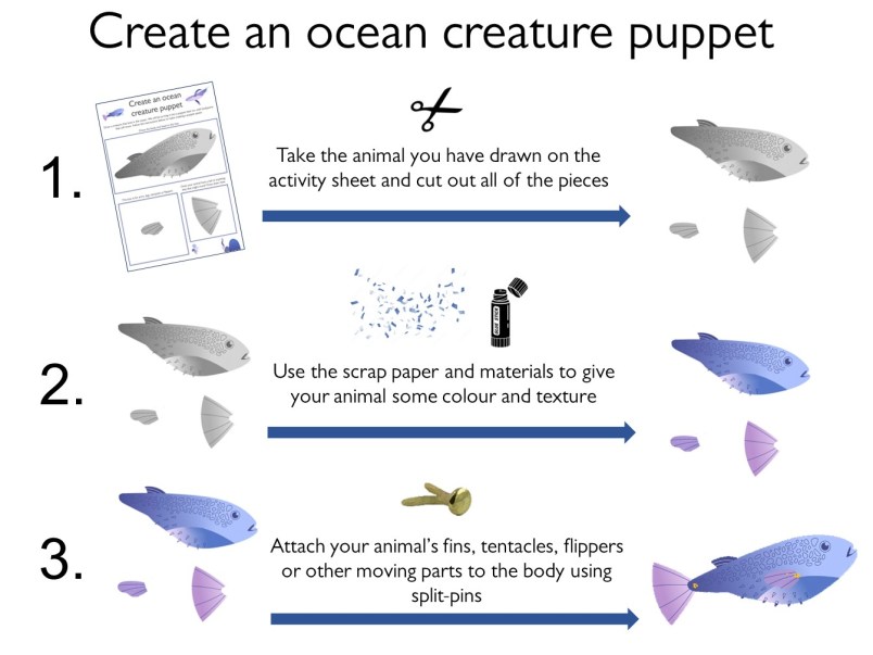 Create an ocean creature puppet – Museum of Zoology Blog