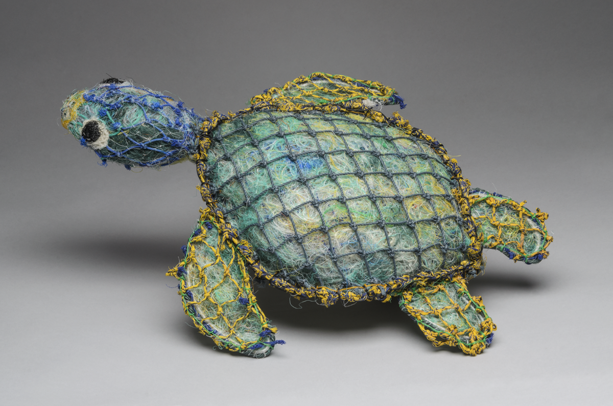 Tangled Planet – Museum of Zoology Blog